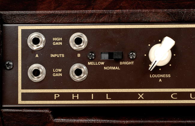 EVIL*ROBOT Combo Amplifiers | Fretted Americana Inc.