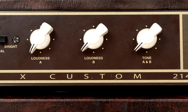 EVIL*ROBOT Combo Amplifiers | Fretted Americana Inc.