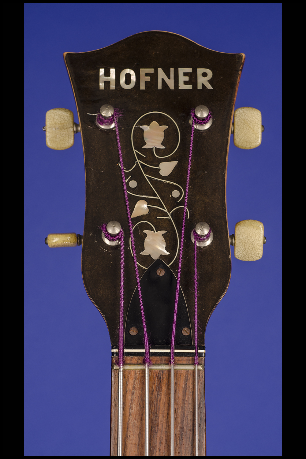 500/5 European Market [President] Bass Guitars | Fretted Americana Inc.