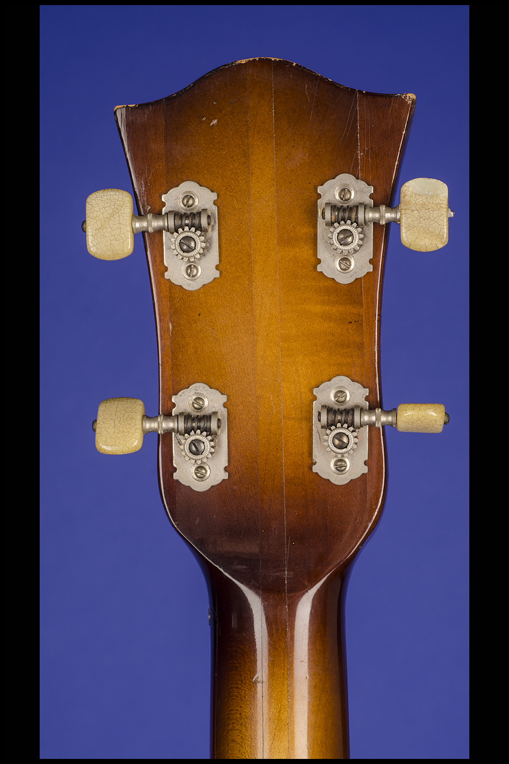 500/5 European Market [President] Bass Guitars | Fretted Americana Inc.