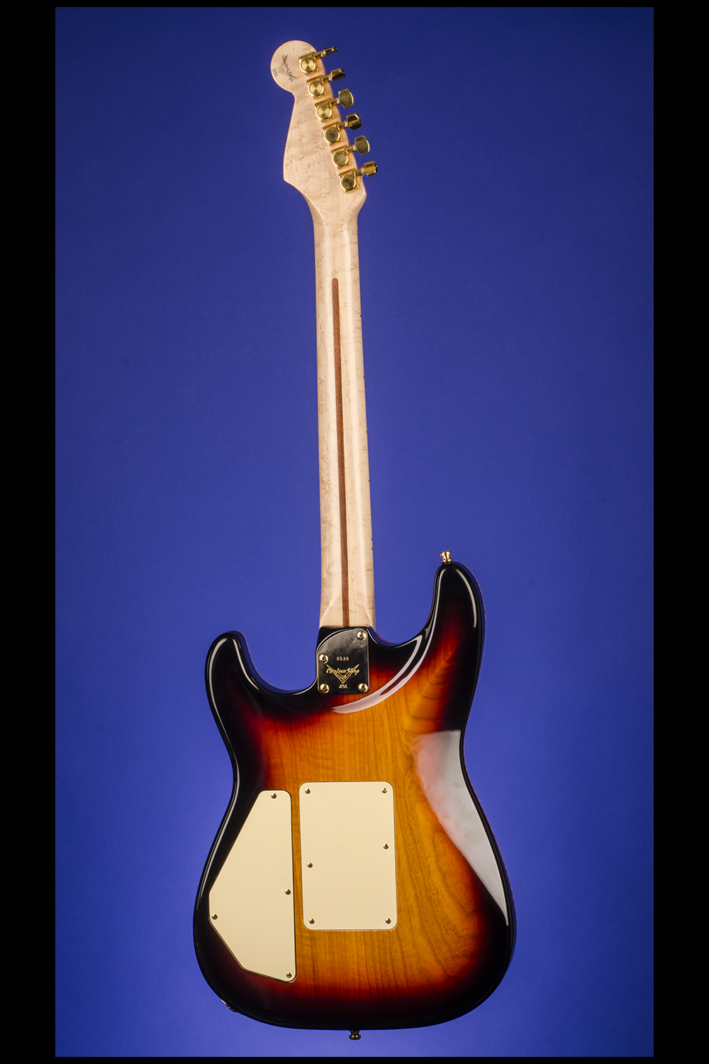 Custom Shop Carved Top Stratocaster (Gold Hardware) Guitars | Fretted ...