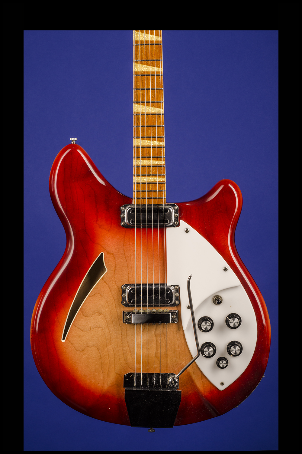 365 (two pickups with vibrato) + Rick-O-Sound Unit Guitars | Fretted ...