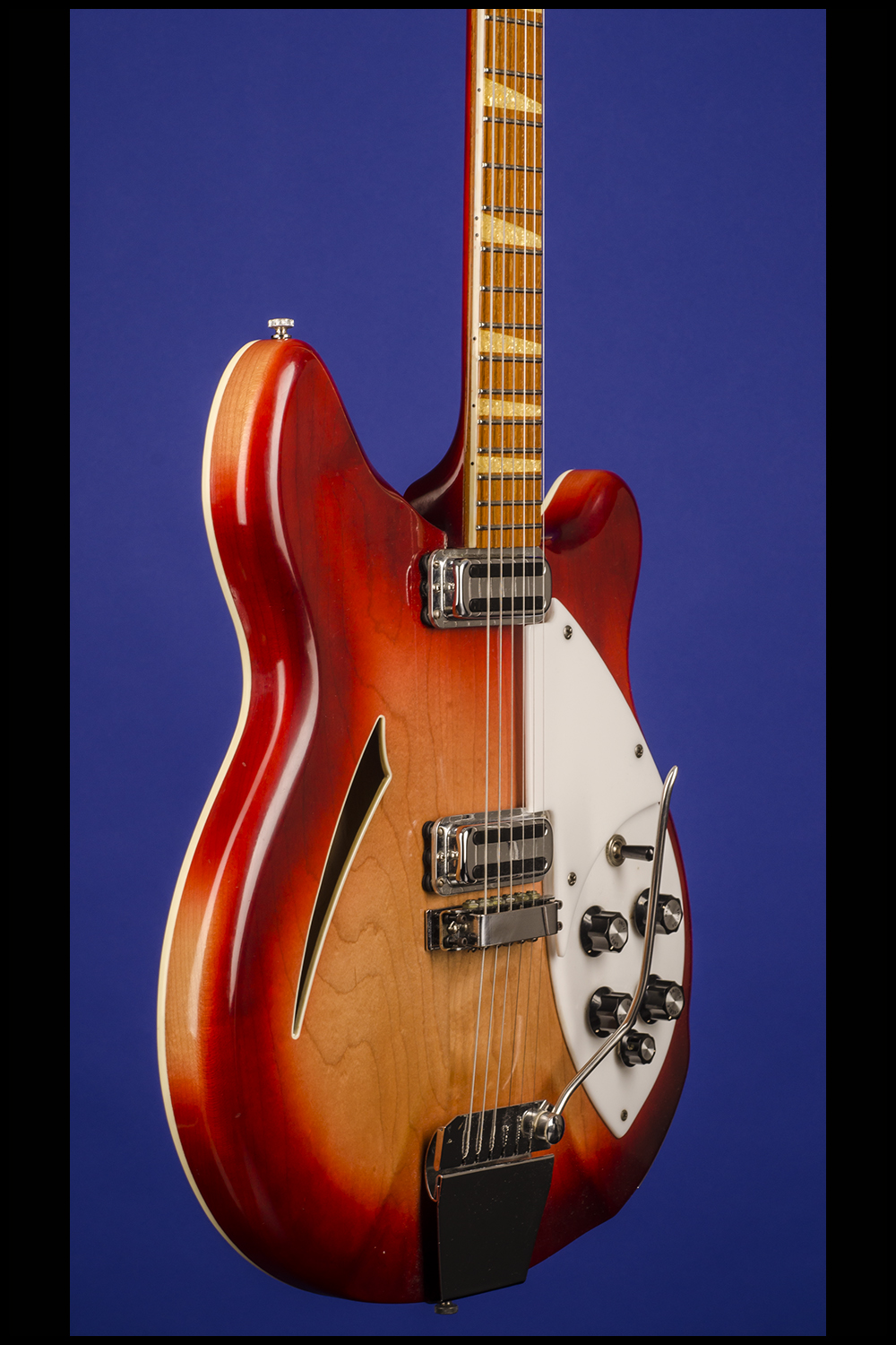 365 (two pickups with vibrato) + Rick-O-Sound Unit Guitars | Fretted ...