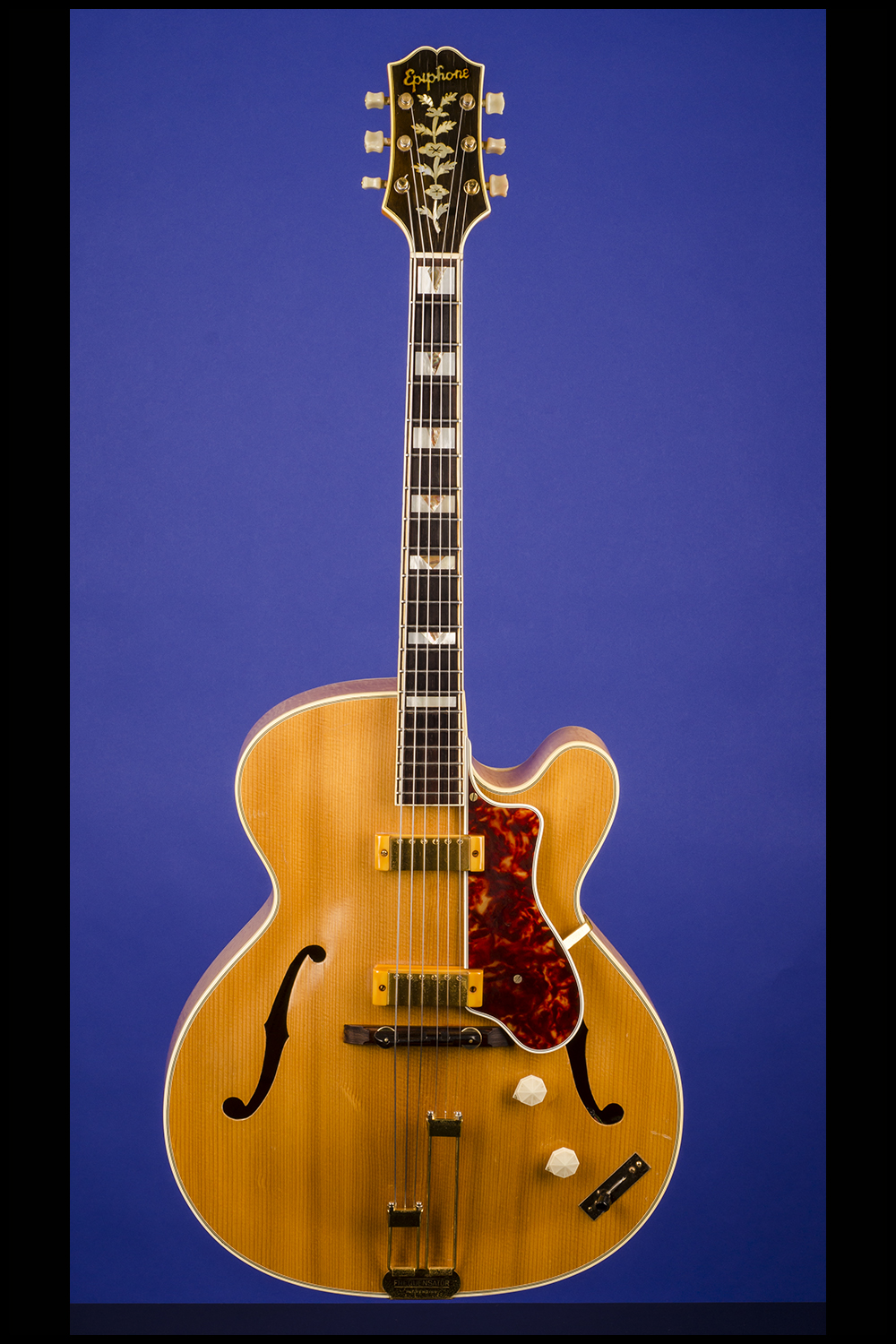 Zephyr De Luxe Regent Guitars | Fretted Americana Inc.