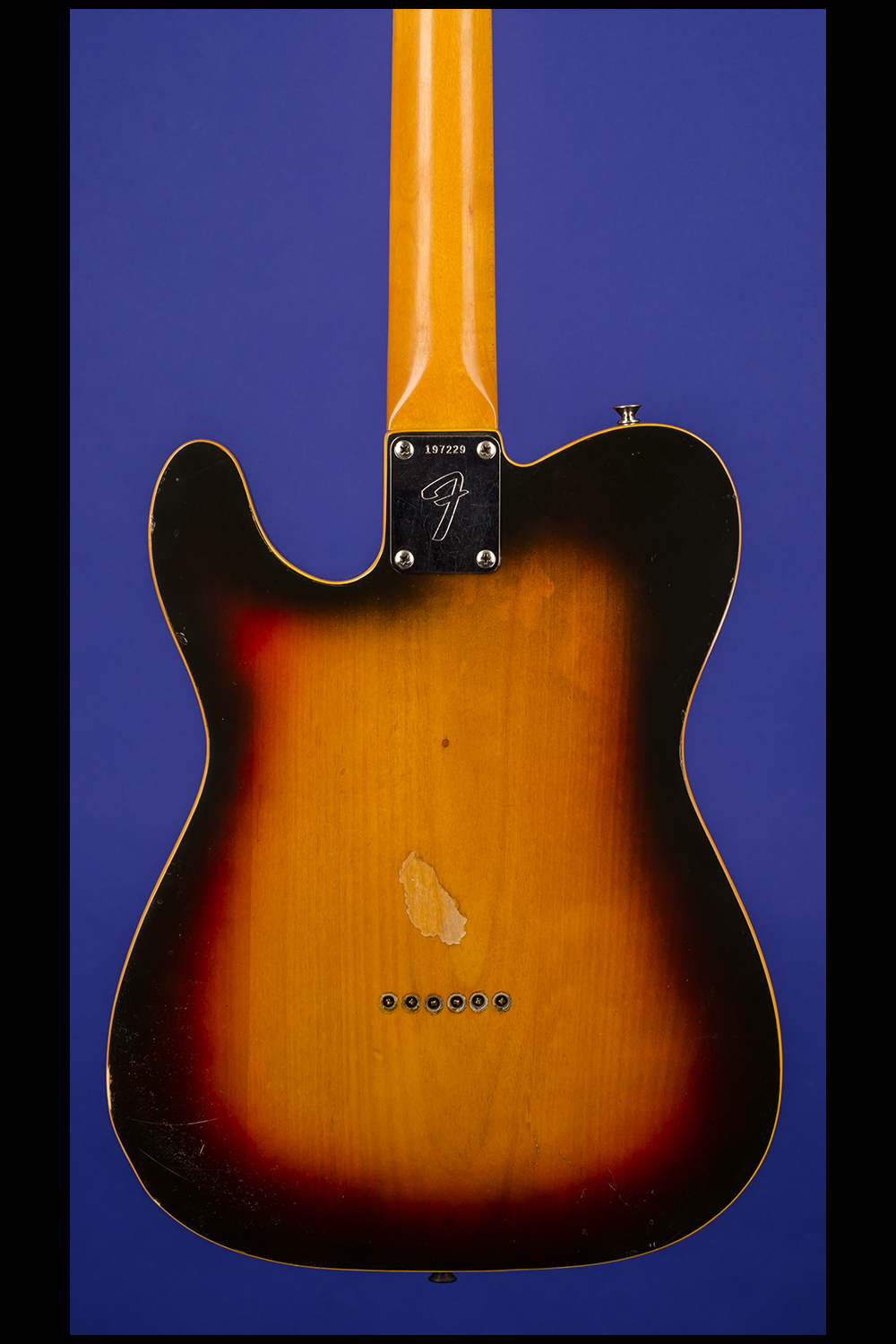 Telecaster Custom Guitars | Fretted Americana Inc.