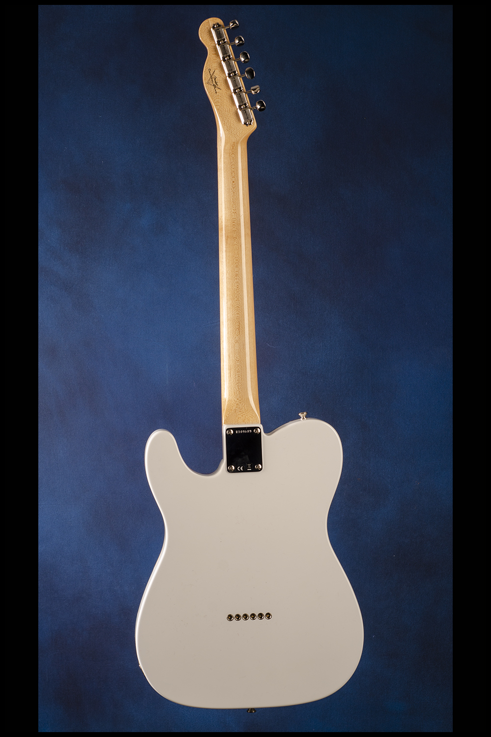 Color Chart Telecaster Guitars | Fretted Americana Inc.