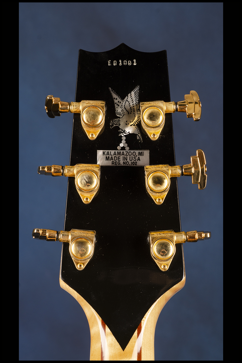 Golden Eagle Nat. Reg 102 Made for NAMM 2000 Guitars | Fretted ...